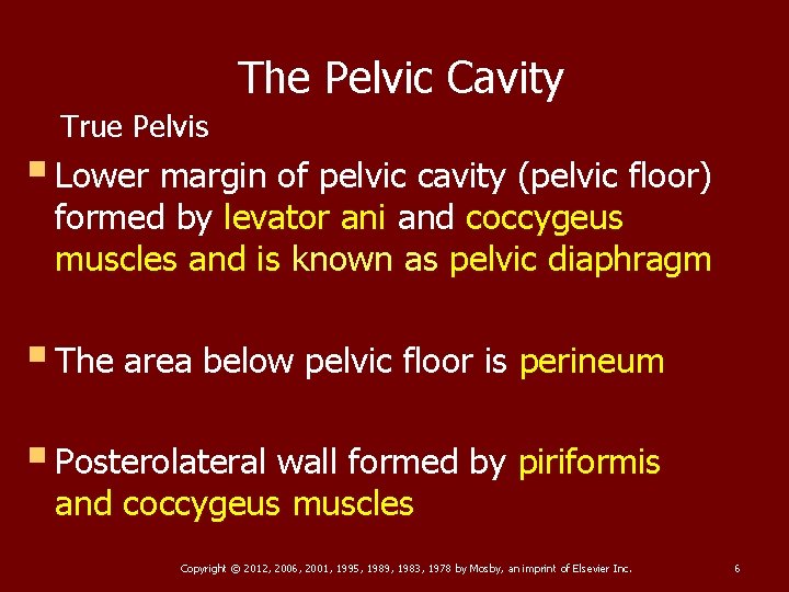 Normal Anatomy and Physiology of the Female Pelvis