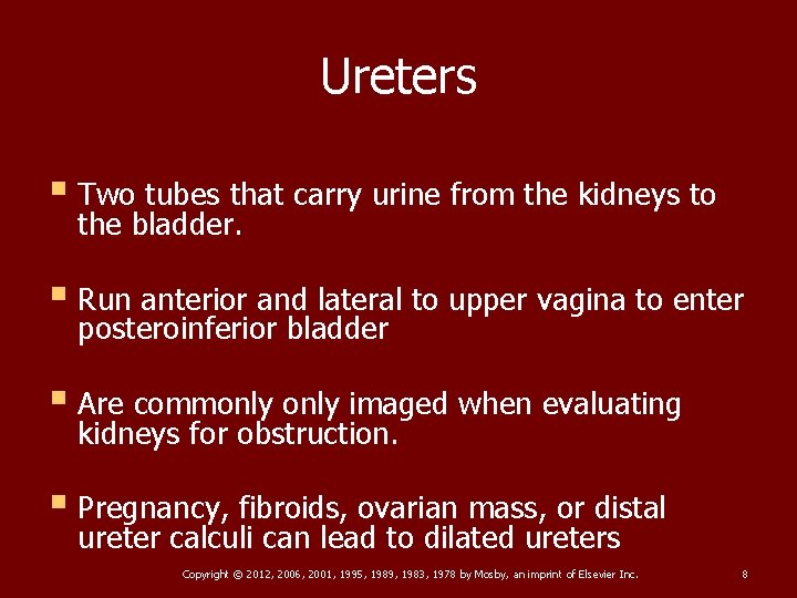 Normal Anatomy and Physiology of the Female Pelvis