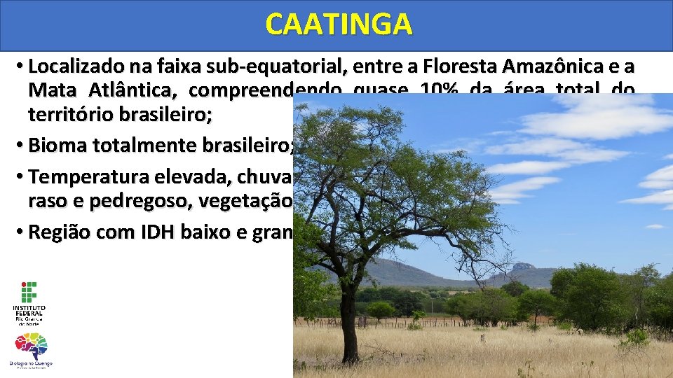 PRINCIPAIS BIOMAS DO BRASIL Aula Programada ECOLOGIA Tema