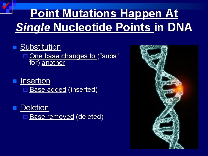GENE MUTATIONS in DNA Point Mutations Happen At