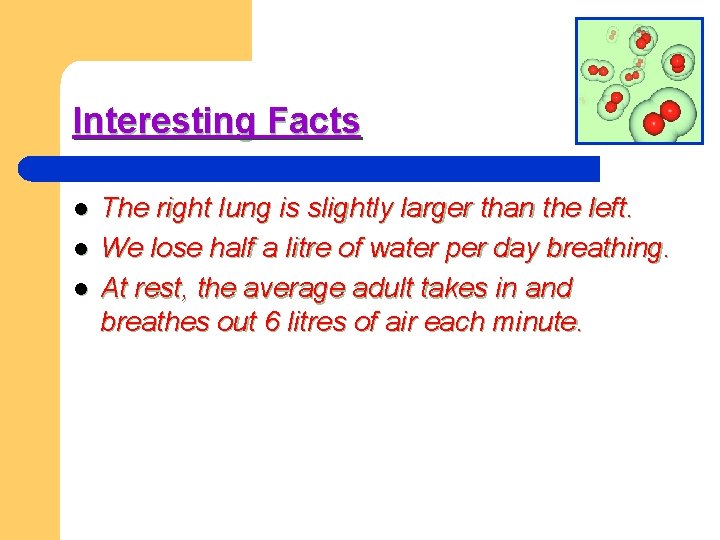 The Respiratory System Just Breathe Interesting Facts l
