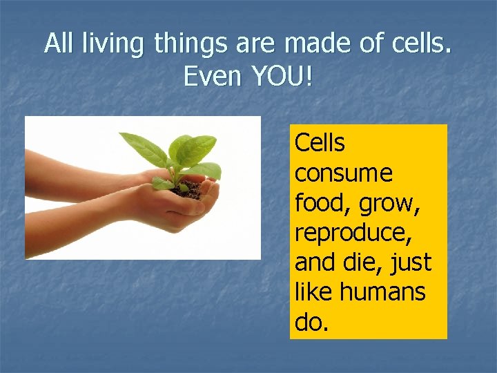 Cells All living things are made of cells