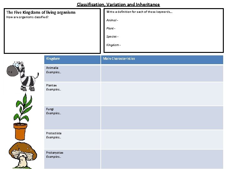 Classification Variation and Inheritance The Five Kingdoms of