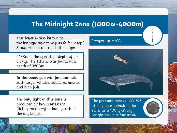 The Blue Planet Earth is referred to as