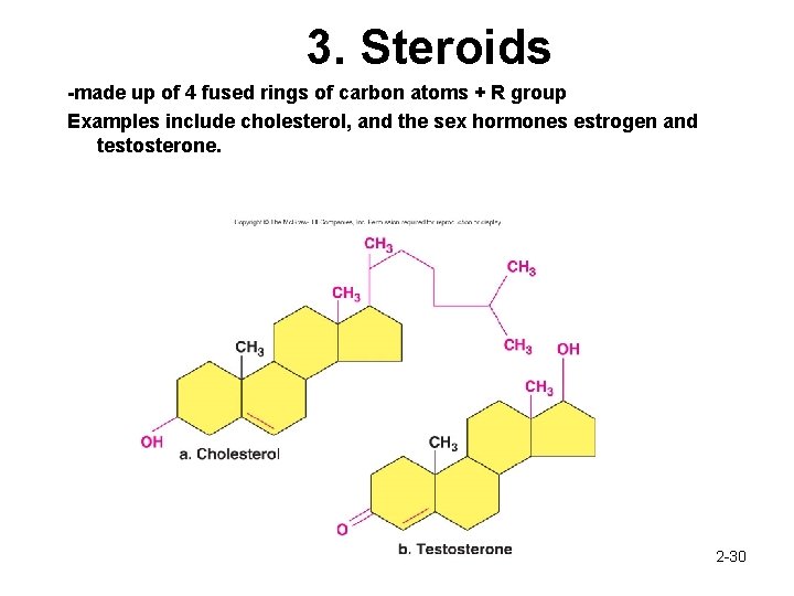 Processes of Science Scientific Method 1 Observation of