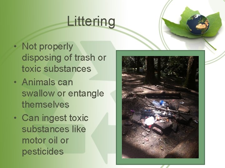 The Effects of Pollution and Protecting the Environment