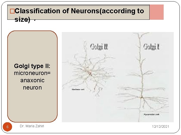 Neuro Anatomy In the name of GOD Session