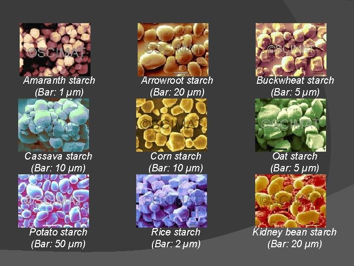 PATI UMBIUMBIAN ENDRIKA WIDYASTUTI FOOD SCIENCE AND TECHNOLOGY