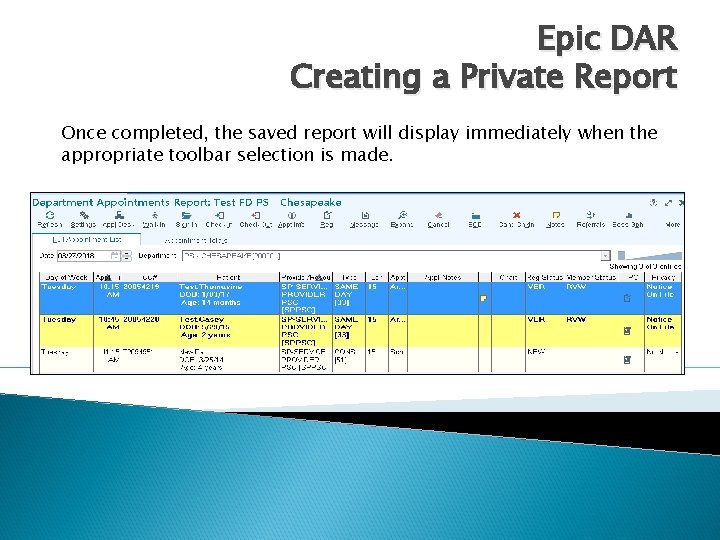 Lesson 6 Epic DAR Creating a Private Report