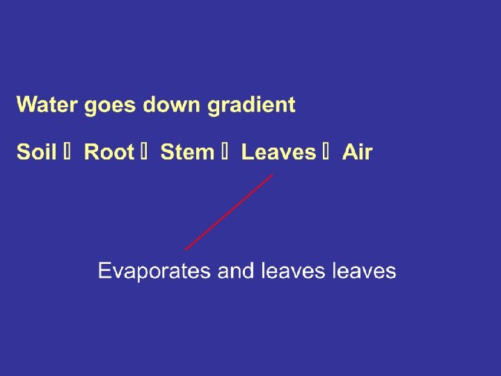 Field Hydrologic Cycle Chapter 6 Radiant energy drives