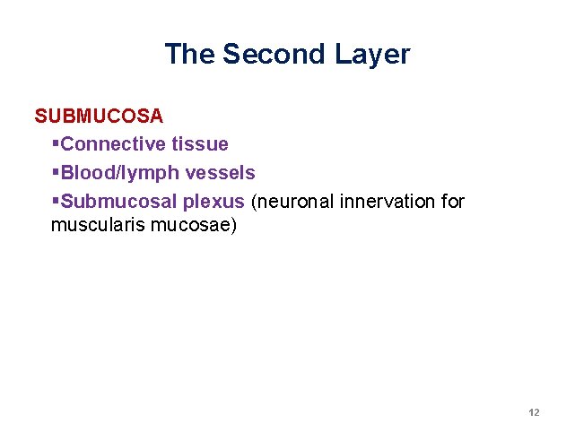 Gastrointestinal System Digestion and Absorption of Food Chapter