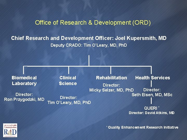 HSRD The Bedside Investigators Presentation to 2009 ORD