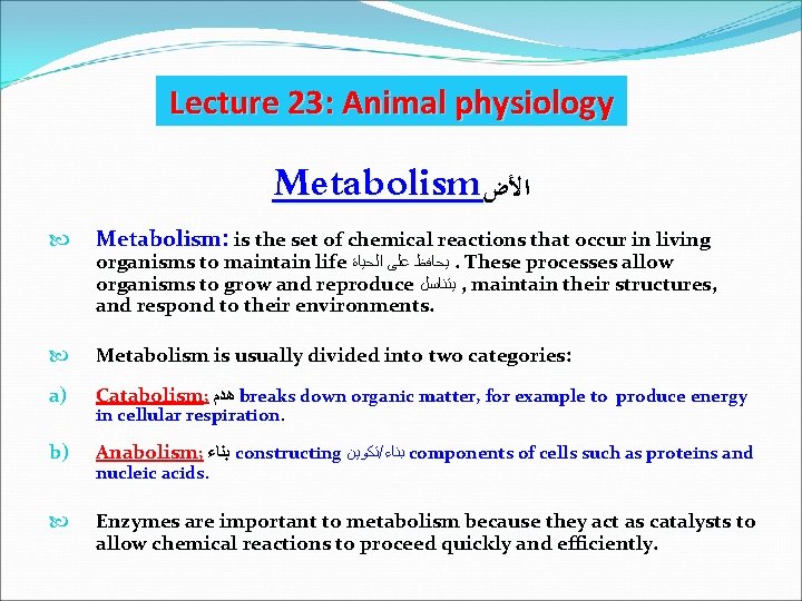 Lecture 23 Animal physiology Metabolism Metabolism is the