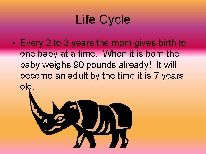 Meet The Black Rhinoceros By Nyla Mrs Conway