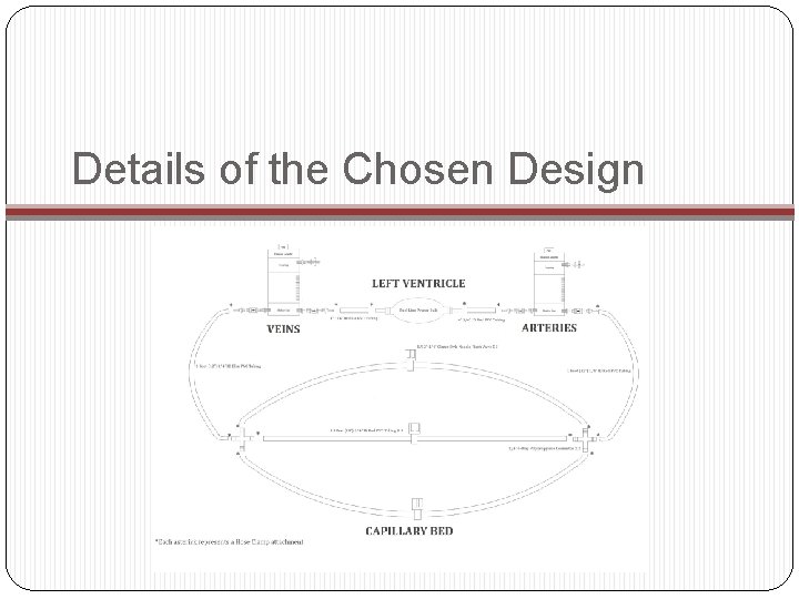 Megan Foran Danny Jones Frank Moynihan Dr Bob