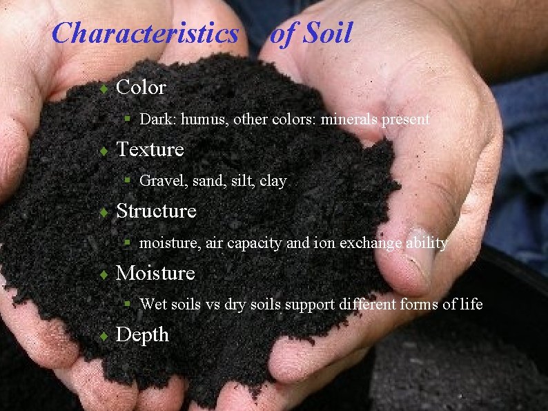 Soil What is soil Mixture of inorganic material