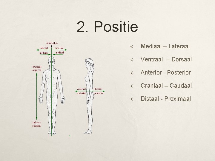 Anatomie Fysiologie Les 1 The body is a