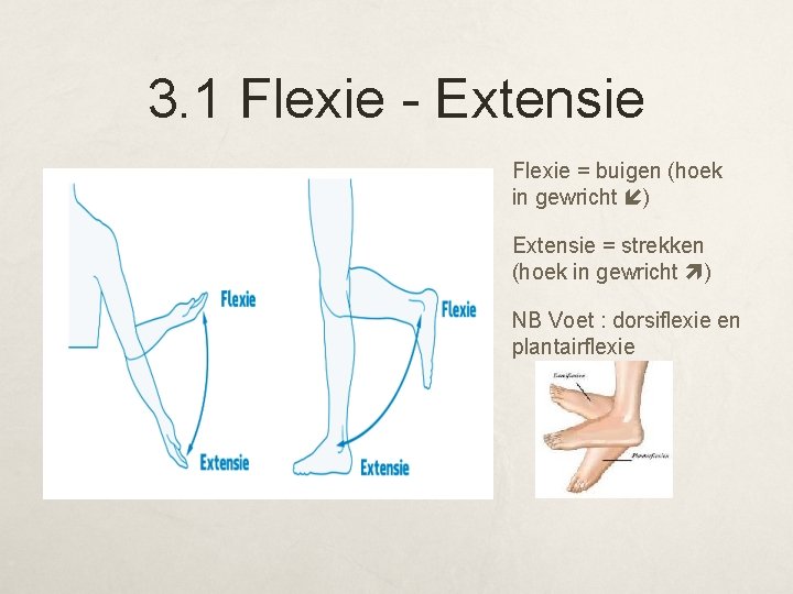Anatomie Fysiologie Les 1 The body is a