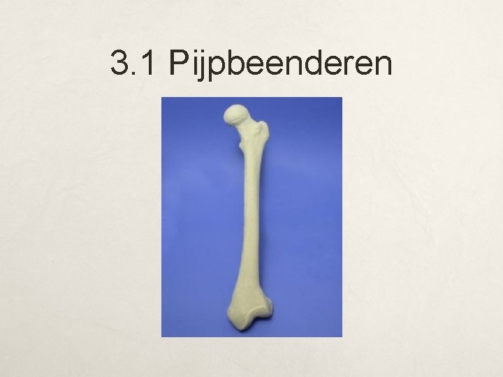 Anatomie Fysiologie Les 1 The body is a