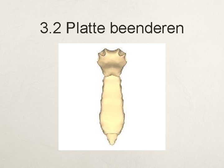 Anatomie Fysiologie Les 1 The body is a