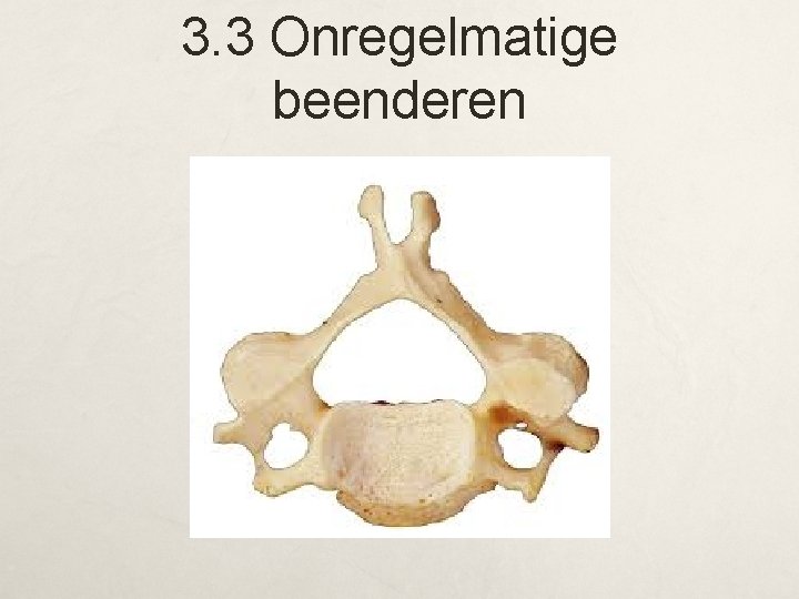 Anatomie Fysiologie Les 1 The body is a