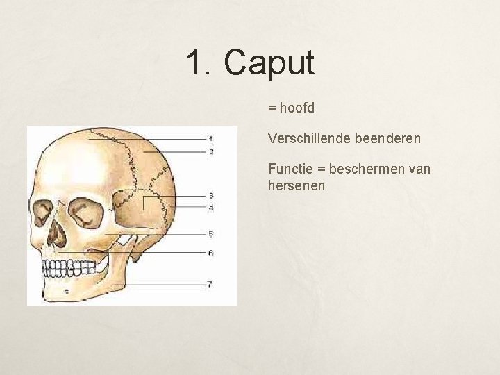 Anatomie Fysiologie Les 1 The body is a