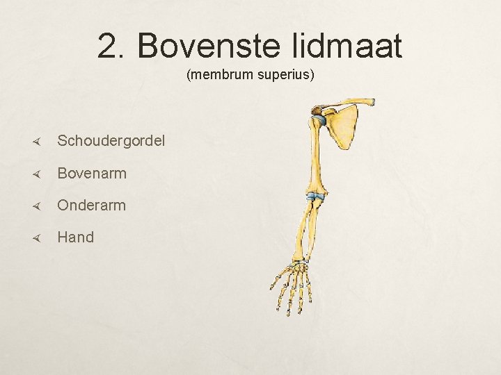 Anatomie Fysiologie Les 1 The body is a