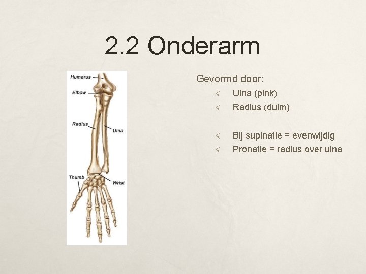 Anatomie Fysiologie Les 1 The body is a