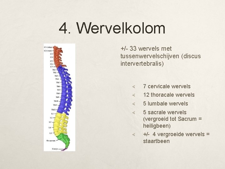 Anatomie Fysiologie Les 1 The body is a