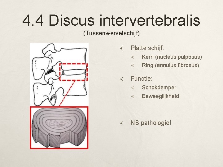 Anatomie Fysiologie Les 1 The body is a