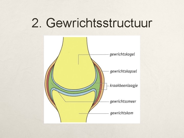Anatomie Fysiologie Les 1 The body is a