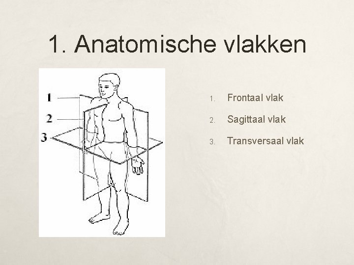 Anatomie Fysiologie Les 1 The body is a