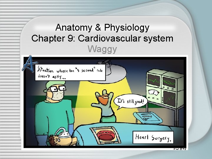Anatomy Physiology Chapter 9 Cardiovascular system Waggy Key