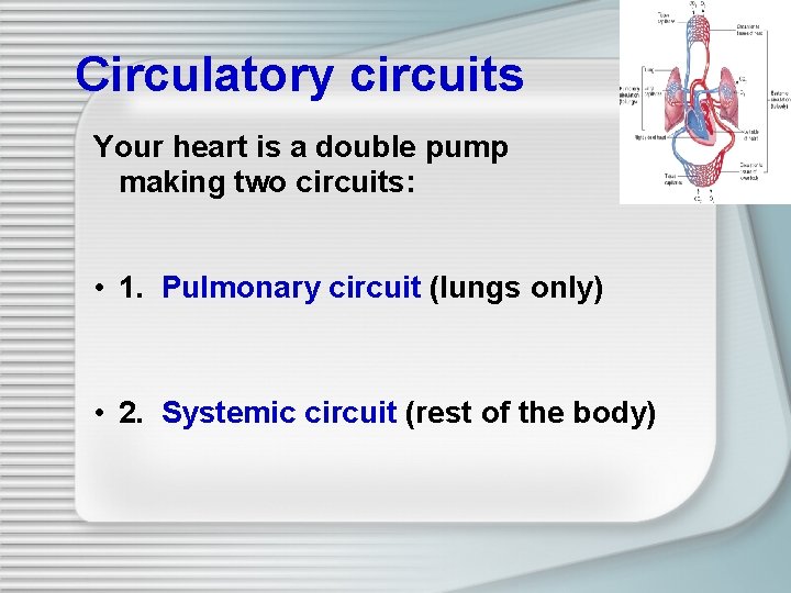 Anatomy Physiology Chapter 9 Cardiovascular system Waggy Key