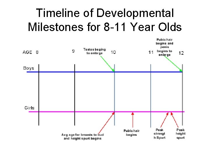 Important Developmental Milestones Group 4 Caleb Arthur Crissy