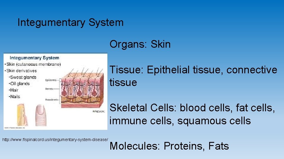 Introduction to Nursing TOPIC 1 Introduction to Nursing