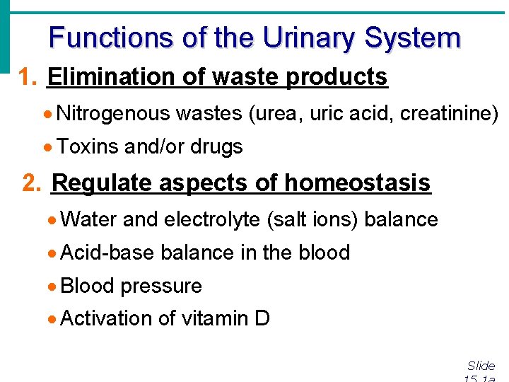 Anthonys Textbook of Anatomy Physiology Chapter 28 The