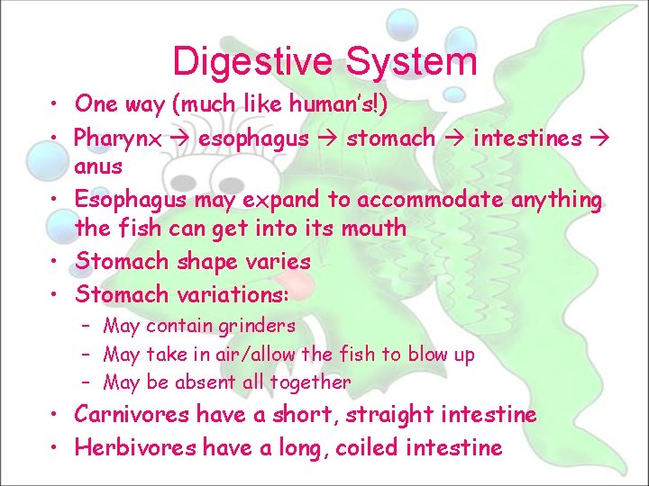 Fish Notes Part 2 Feeding patterns buoyancy temperature
