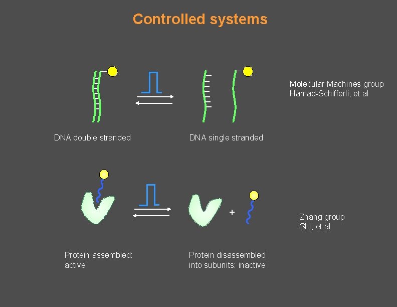 Dimensions in Silicon and in Biology red blood