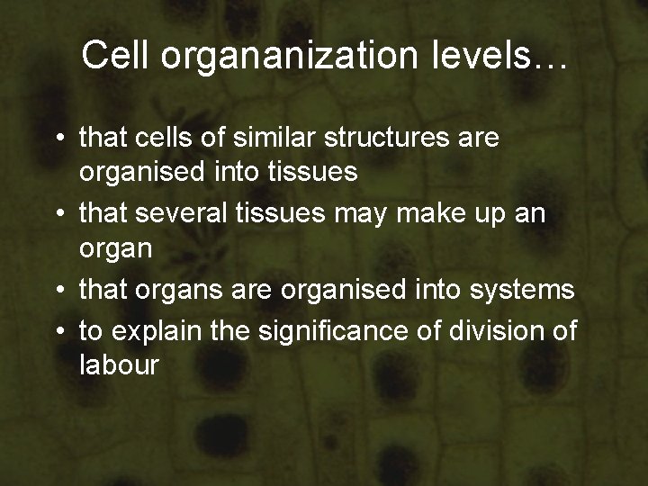 Cell organanization levels that cells of similar structures