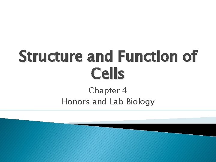Structure and Function of Cells Chapter 4 Honors