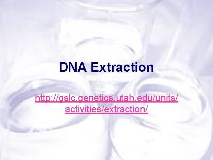 DNA Extraction http gslc genetics utah eduunits activitiesextraction