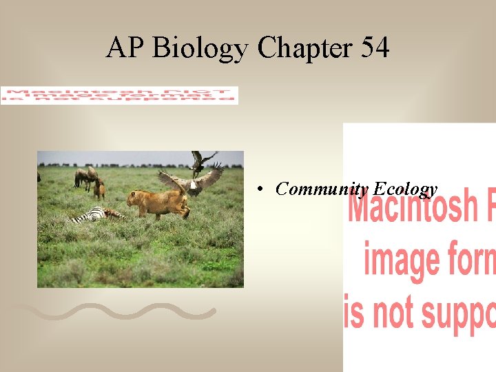 AP Biology Chapter 54 Community Ecology Community structure