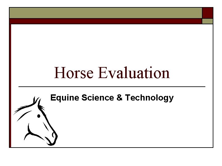 Horse Evaluation Equine Science Technology Horse Evaluation How