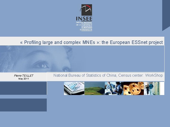 Profiling large and complex MNEs the European ESSnet