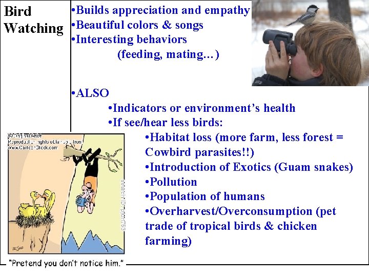 Bird Anatomy Notes Anatomy 1 Bones Hollow but