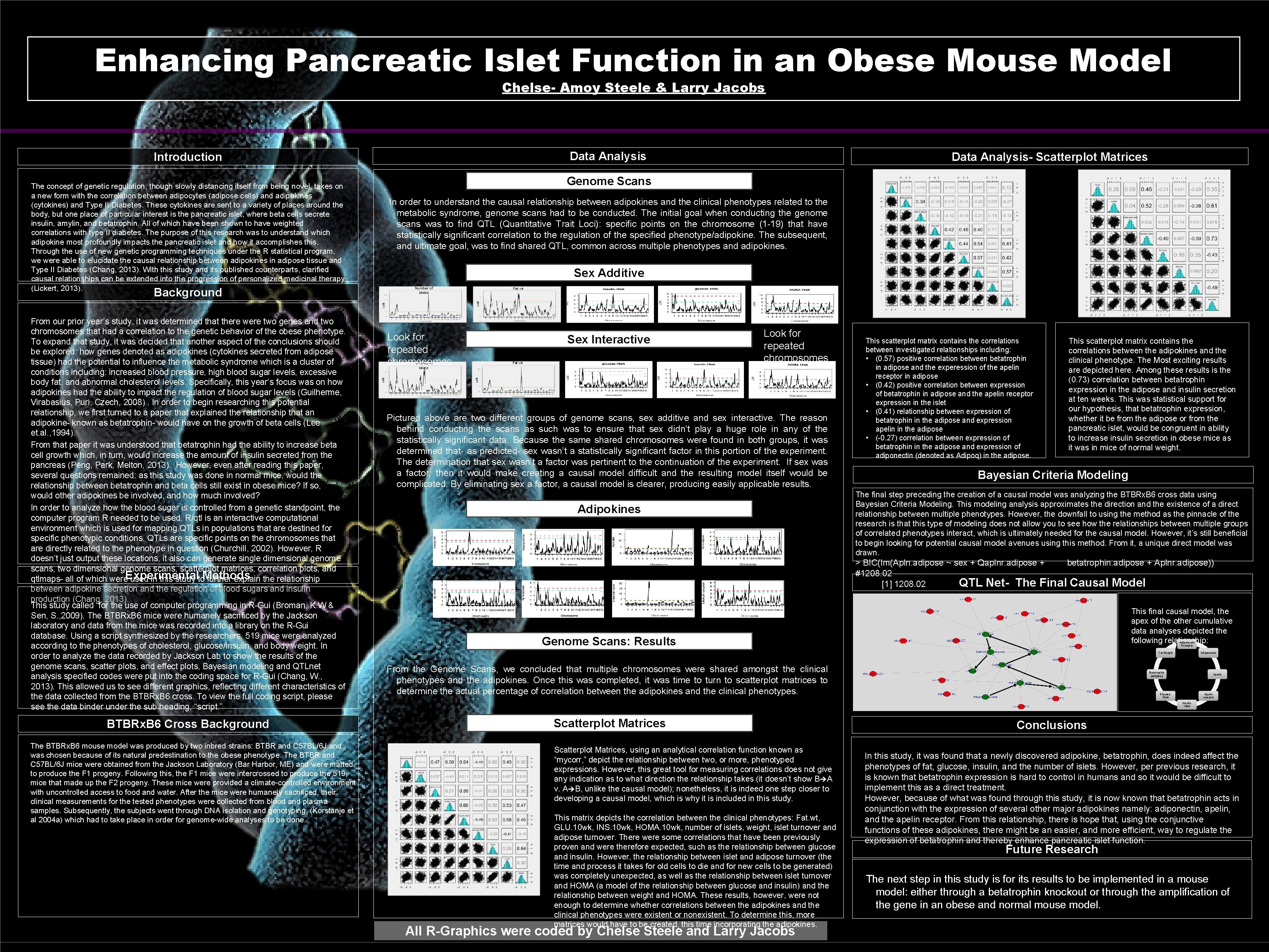 Enhancing Pancreatic Islet Function in an Obese Mouse