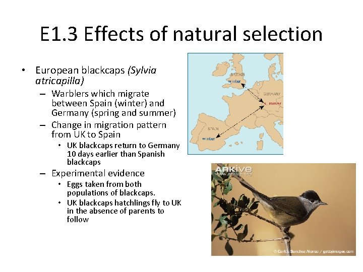 Perception Behavior Perception Behavior How do you see