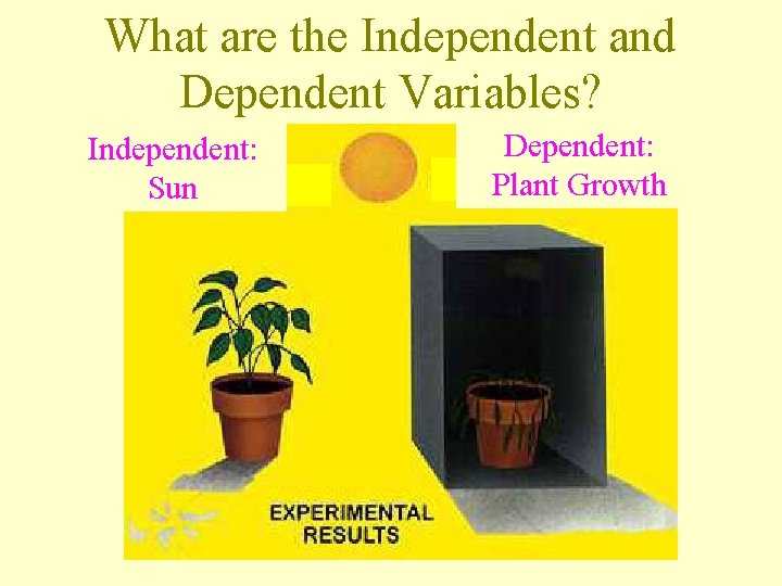 Scientific Method Process used by scientists everyoneanyone to