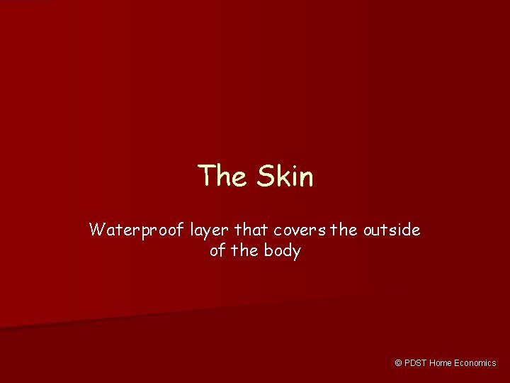 The Skin Waterproof layer that covers the outside